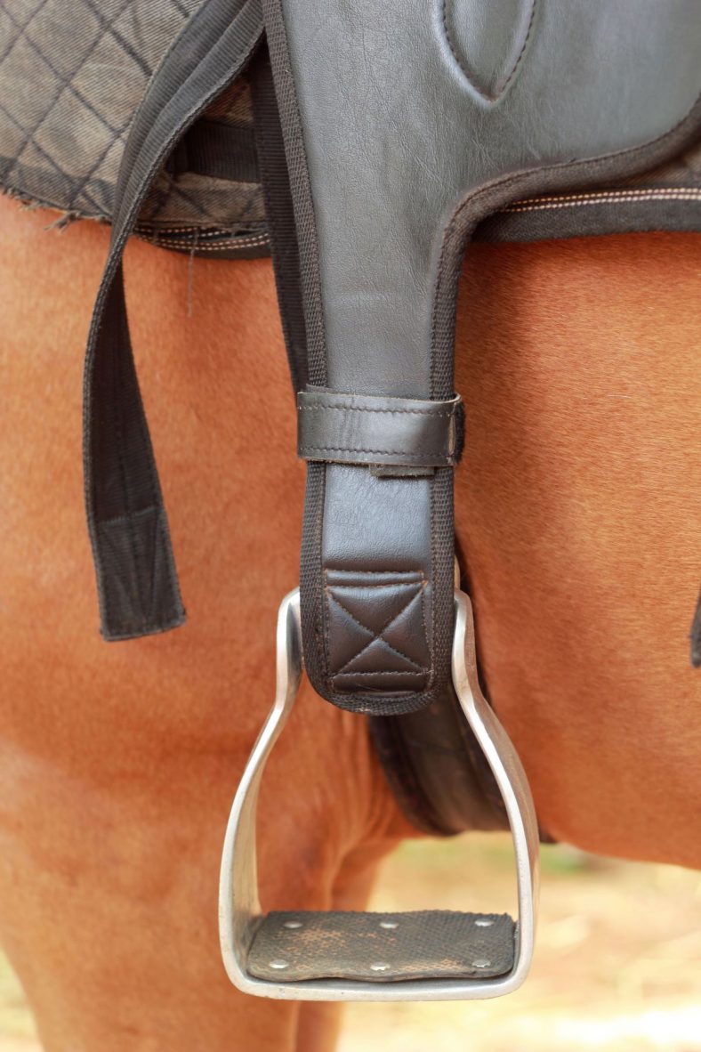 🏇 Etrières - Test & Avis | Animaitre